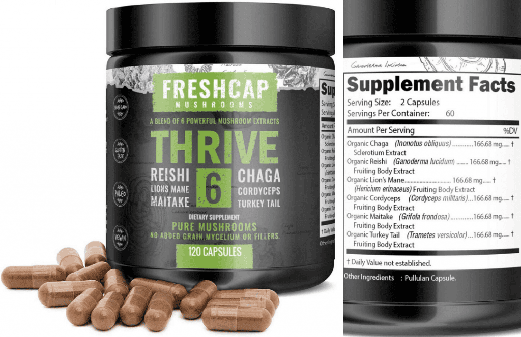 Best Organic Mushroom Supplements (Blends) Brands Reviews