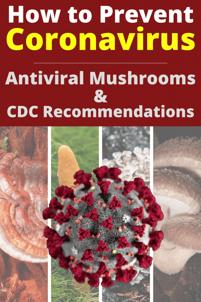How to Prevent Getting the Coronavirus | Antiviral Mushrooms & CDC Tips