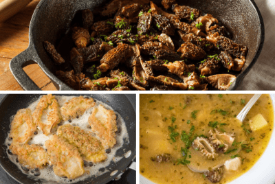 Sautéed Morel Mushrooms Recipes | How to Cook Morels