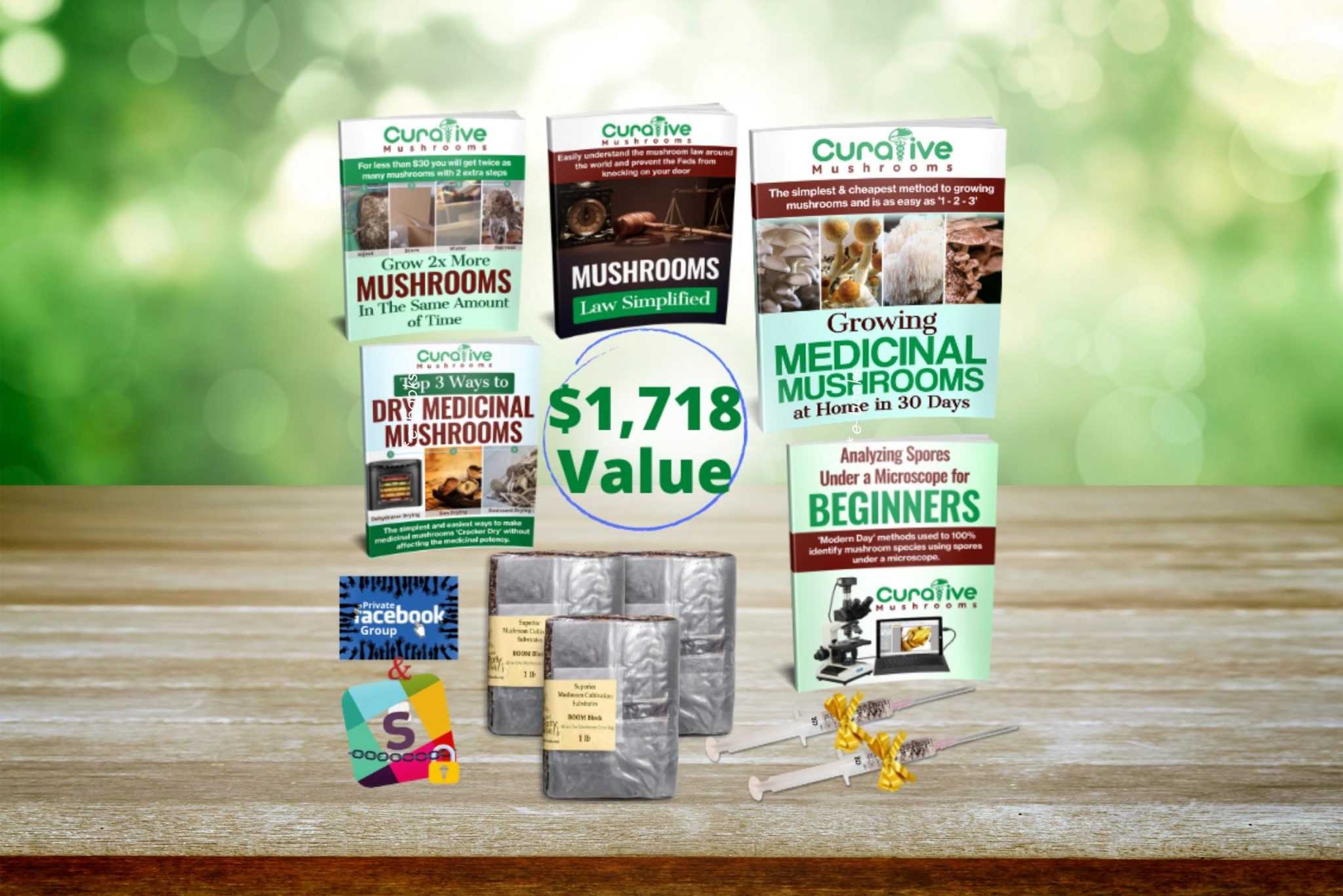 Mushroom Contamination Guide: How to Identify & Prevent