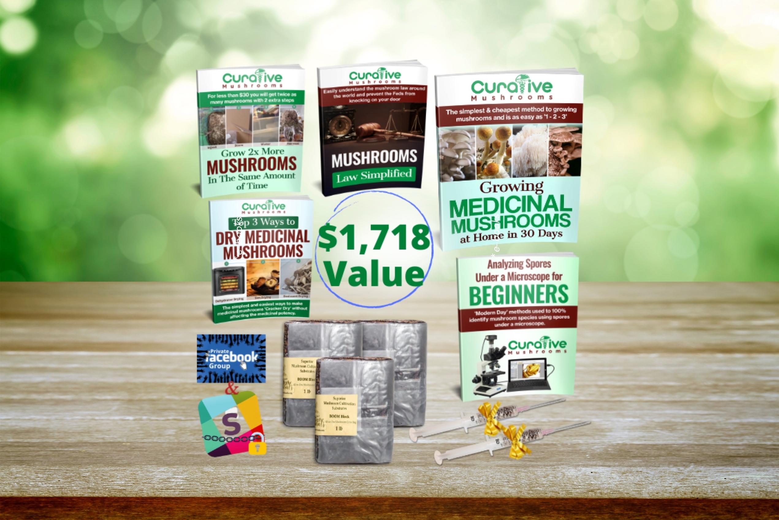 Mushroom Contamination Guide: How to Identify & Prevent