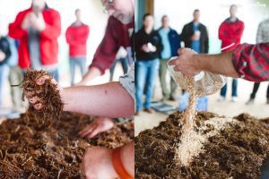 Mushroom Contamination Guide: How to Identify & Prevent