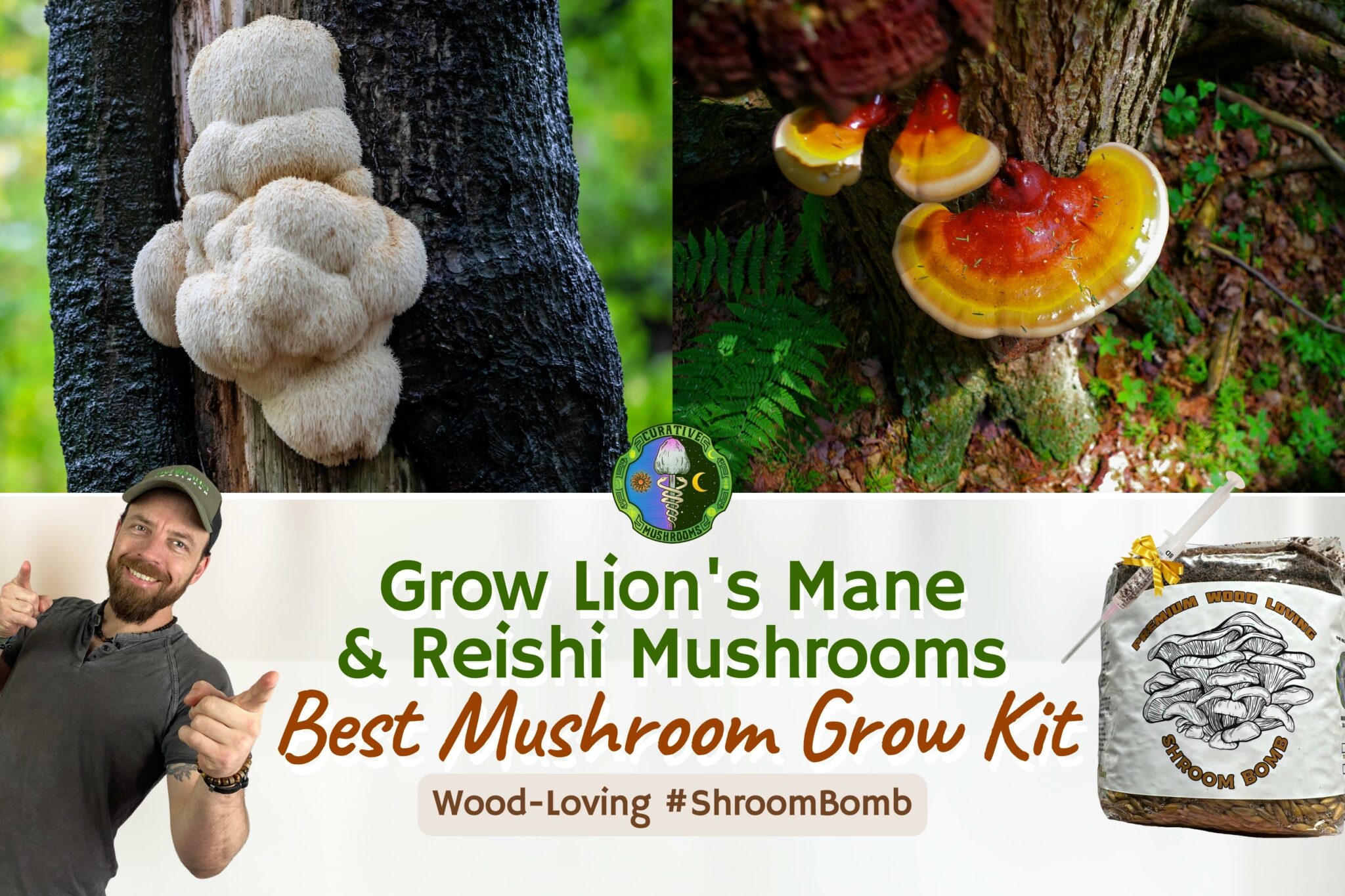 Grow Lion's Mane and Reishi | Best Mushroom Grow Kit - Curative
