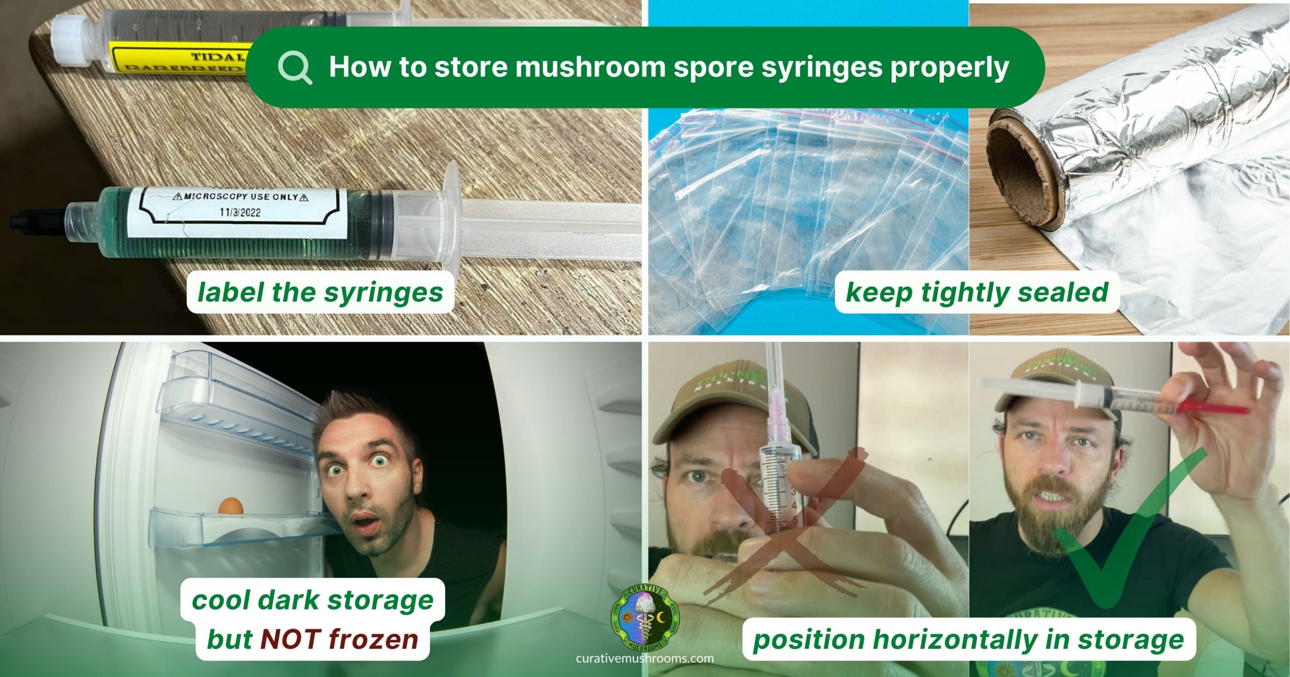 Where and How to Store Mushroom Spore Syringes