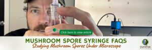 Where and How to Store Mushroom Spore Syringes
