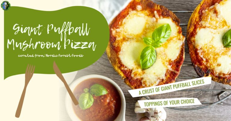 How to Cook Giant Puffball Mushroom Recipes
