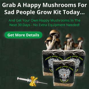 Lion's Mane (Monkey Head) Mushrooms Benefits & Side Effects