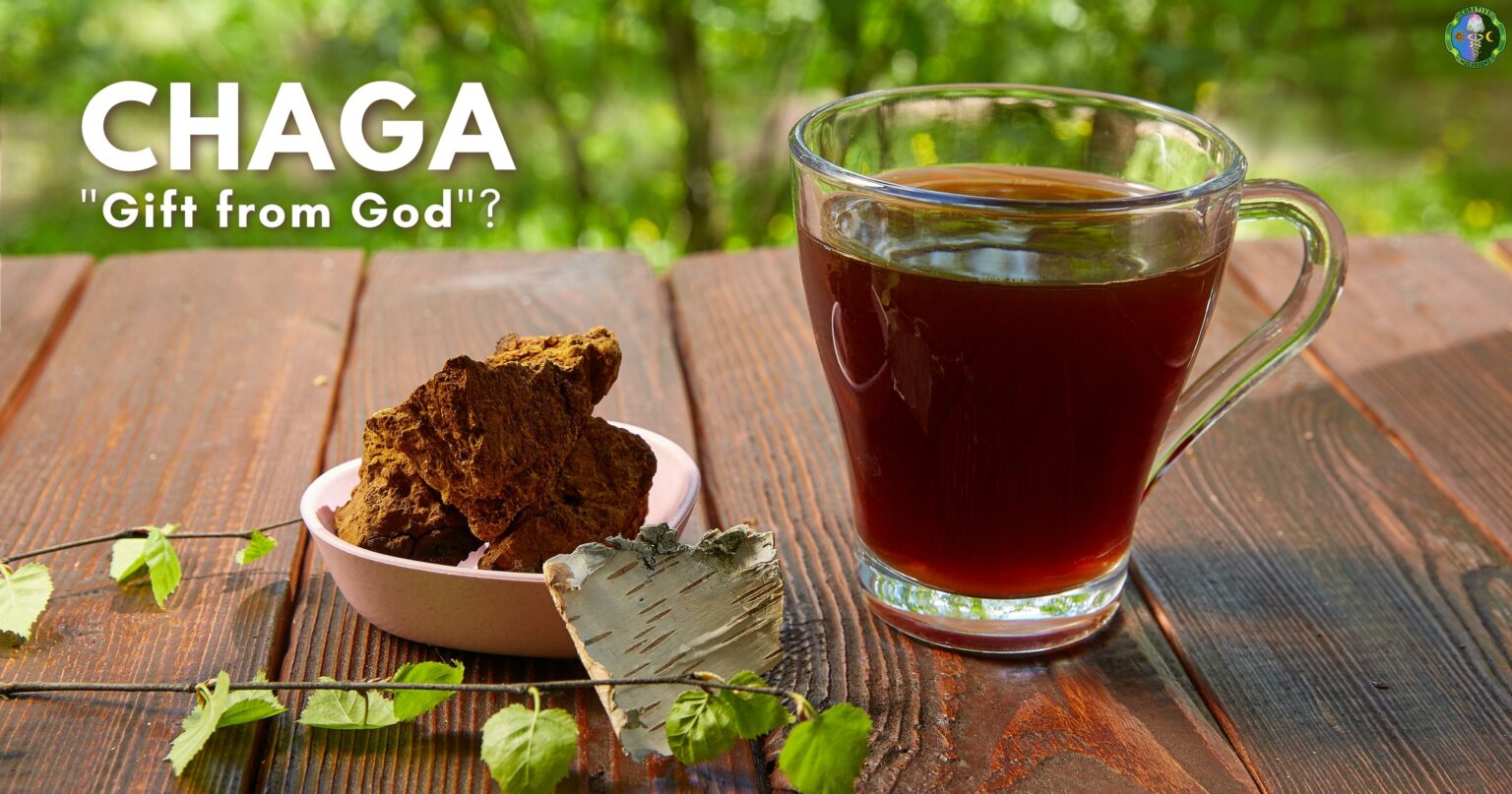 Chaga Mushroom Benefits for Skin and Health