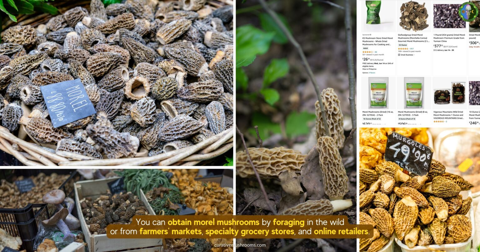 Morel Mushroom Pizza Recipe and 5 Ways to Bake Morel Pizza
